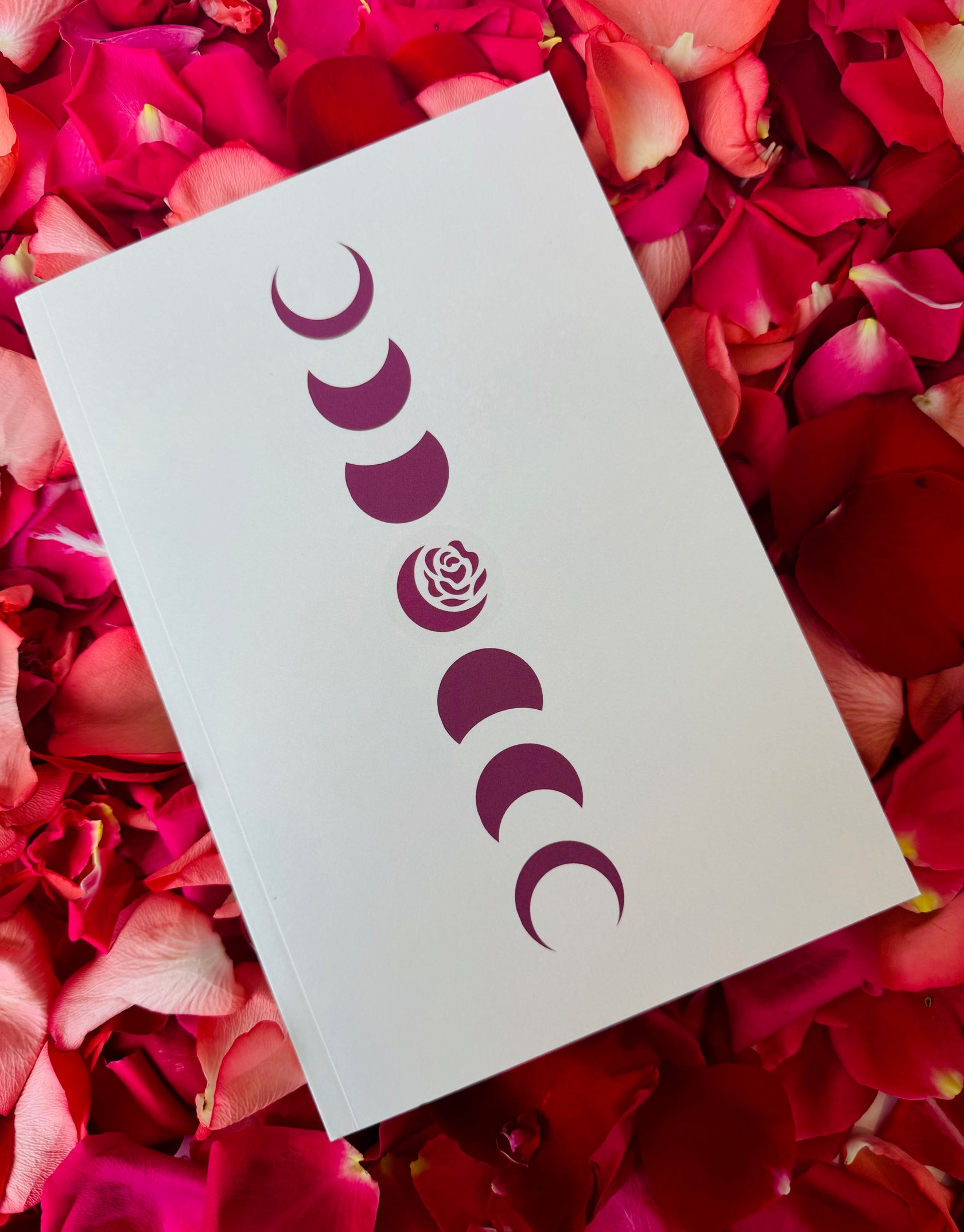 Celebrate the sacredness of your cycle with our first moon kits – My Moon